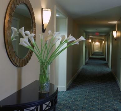 Alexander House Apartments - 8560 2nd Ave Silver Spring MD | Zumper