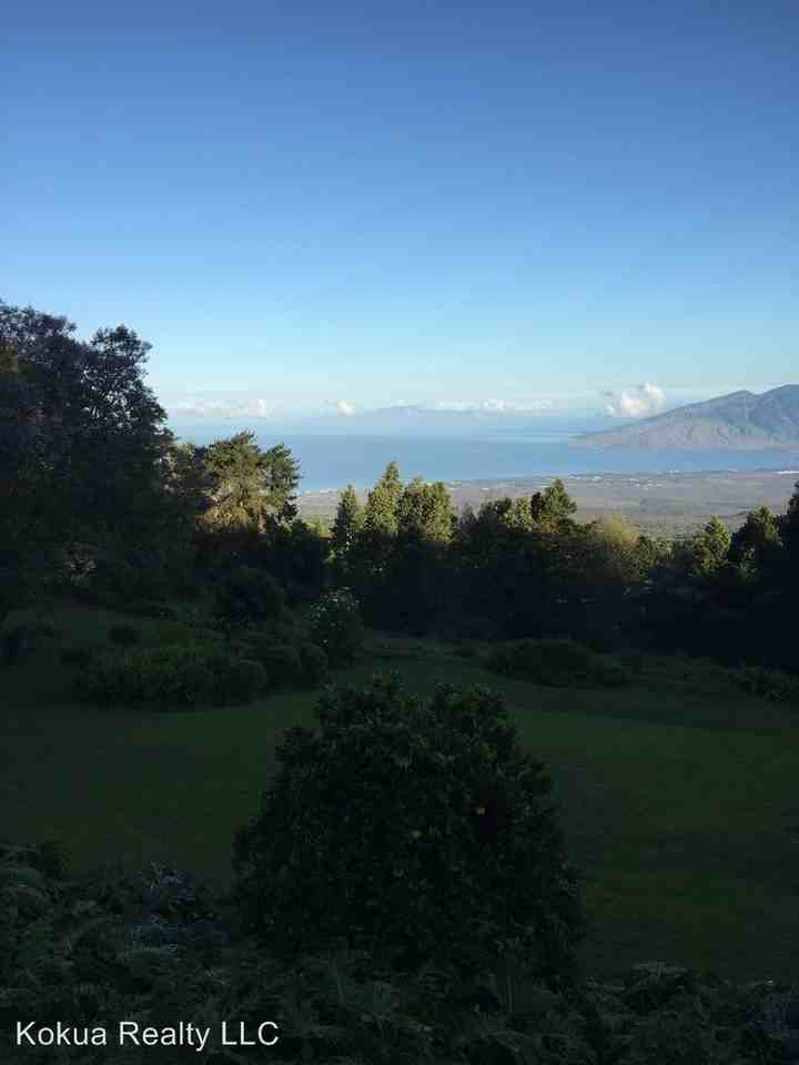 Middle Road Apartments - Middle Rd, Kula, HI 96790 - Zumper