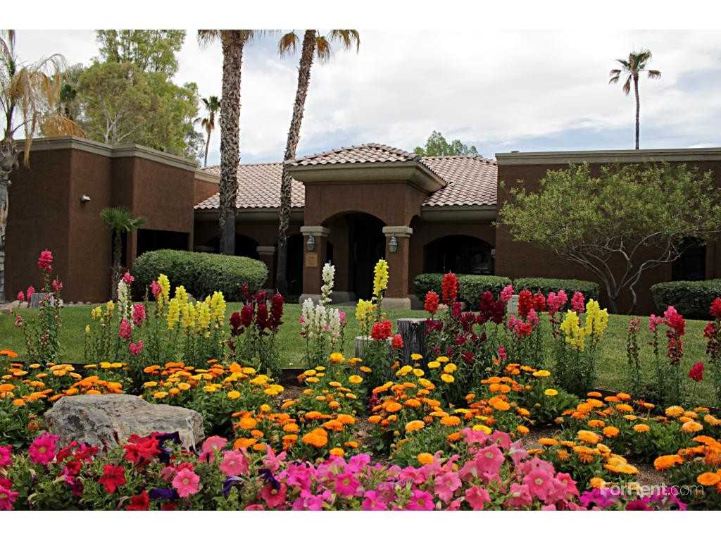 Catalina Canyon Apartments - 2300 W Ina Rd Tucson AZ | Zumper