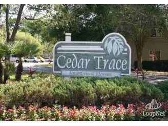 Cedar Trace Apartments - Tampa FL | Zumper