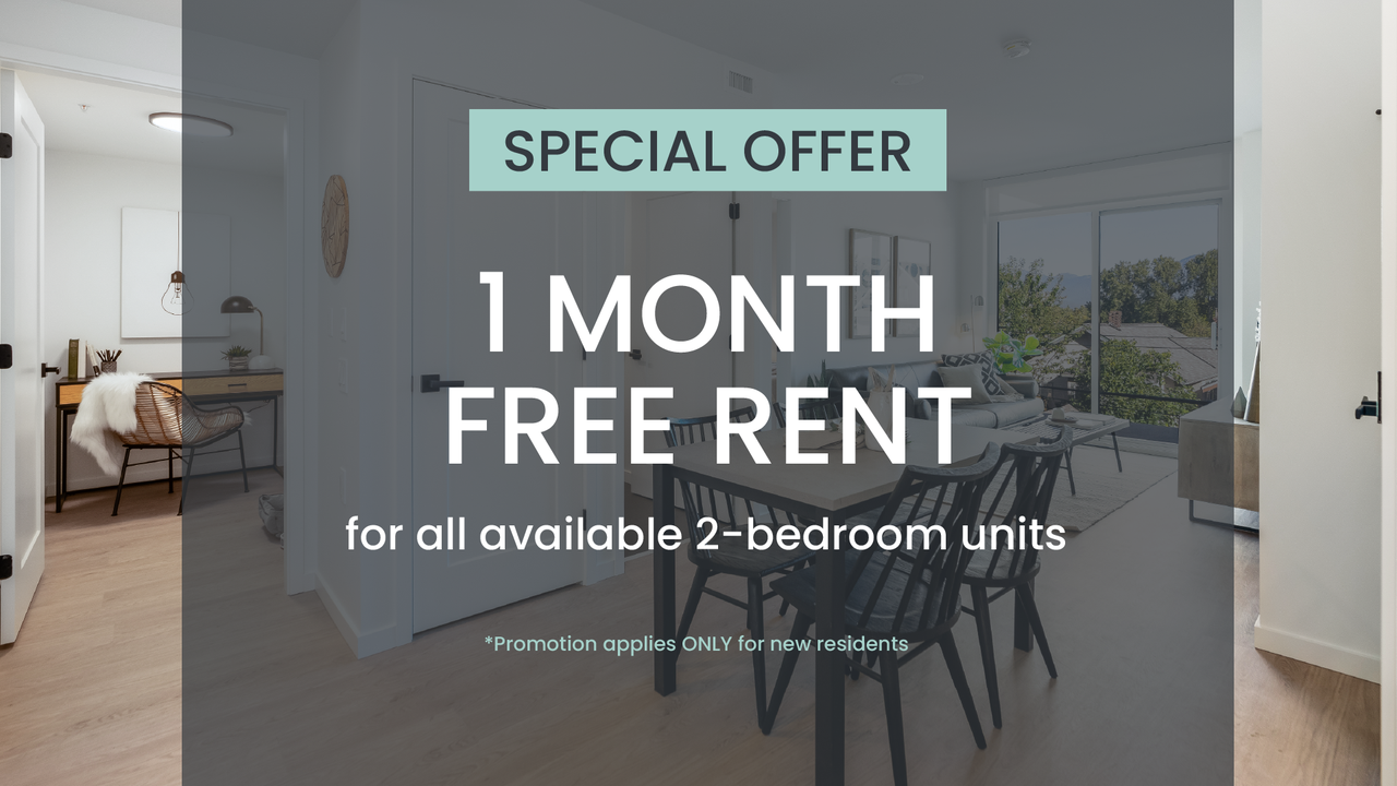 Hub Place Apartments - 1649 Broadway E Vancouver BC | Zumper