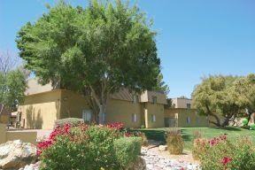 The Quails Apartment Quails - E Irvington Rd Tucson AZ | Zumper