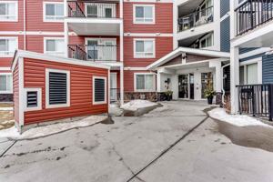 Apartments for Rent In Skyview Ranch, Calgary, AB - 512 Rentals ...