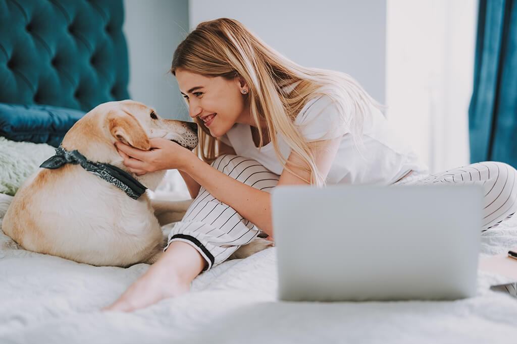 The ROE Apartments - 150 Roehampton Avenue Toronto ON | Zumper