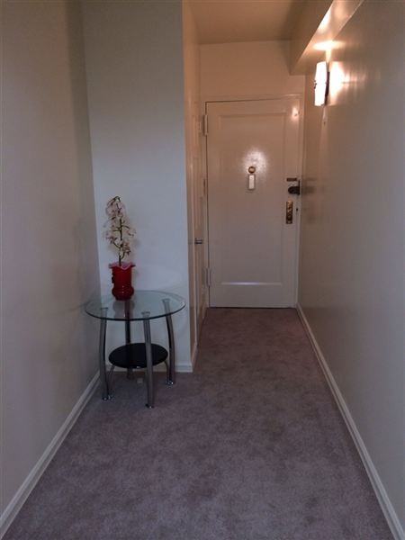 NEWLY RENOVATED/ FURNISHED 2 BEDROOM IN PARKCHESTER (EVERYTHING NEW IN ...