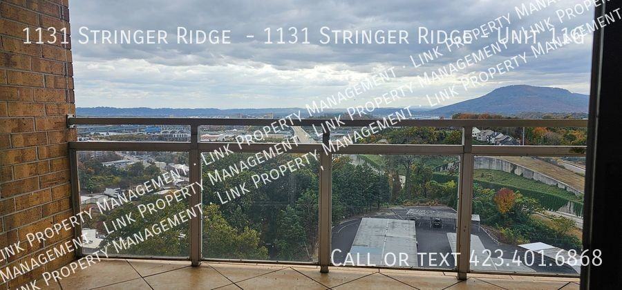 1131 Stringer Ridge - 1131 Stringer Ridge #11G, Chattanooga, TN 37405 2 ...