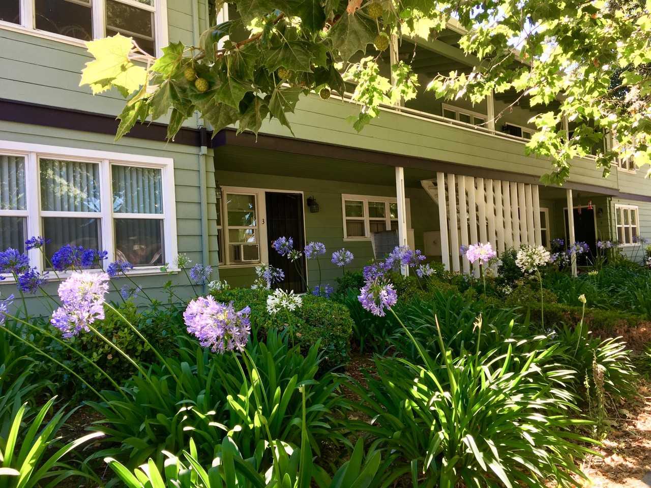 First Street Manor Apartments - 530 North First Street #21 San Jose CA ...