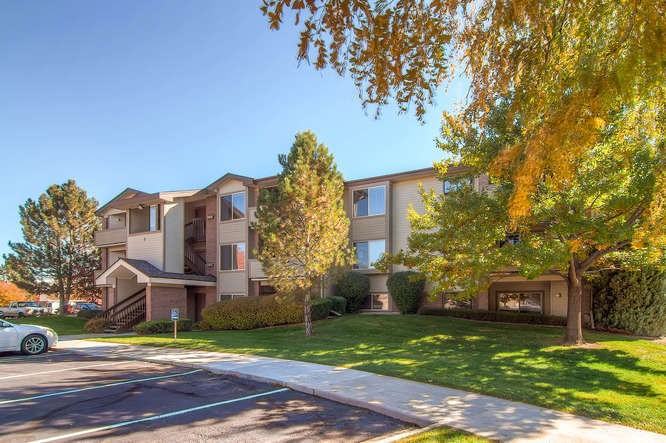 Cheap Apartments In Fort Collinsnull