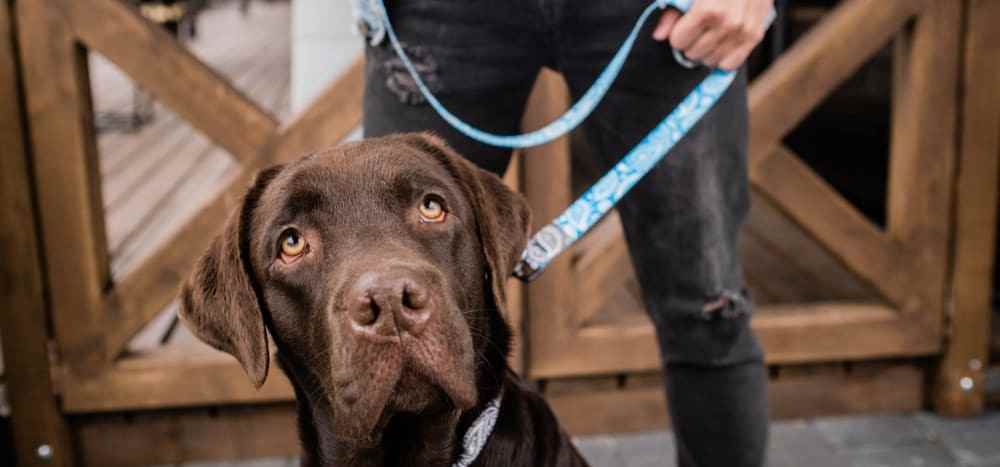 Cascade Ridge Apartments - 8702 South Hosmer Street, Tacoma, WA 98444 ...