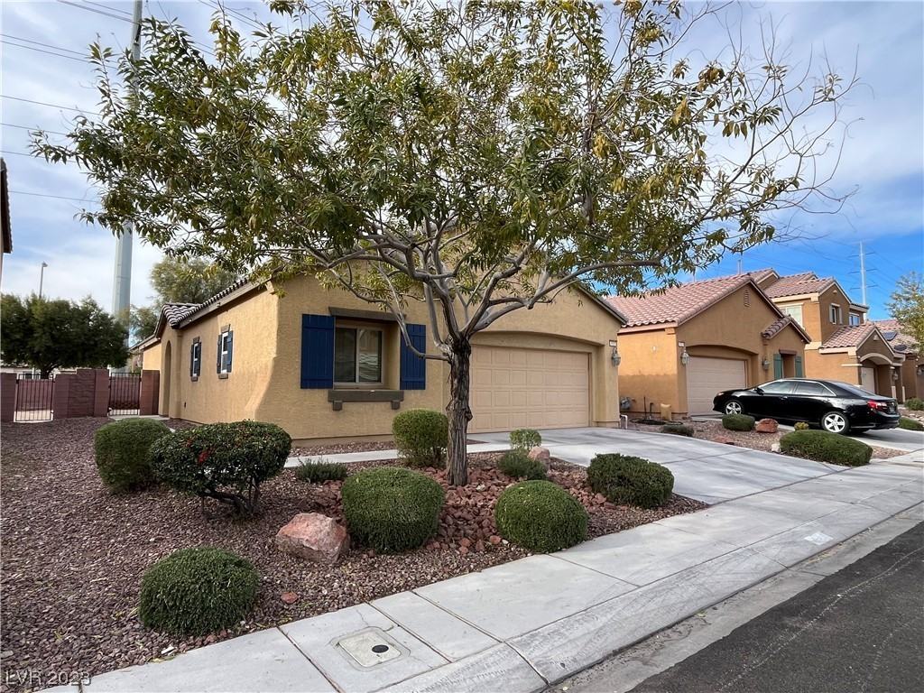 4929 Blue Rose St, North Las Vegas, NV 89081 - 3 bedroom House Rental - Zumper Rentals
