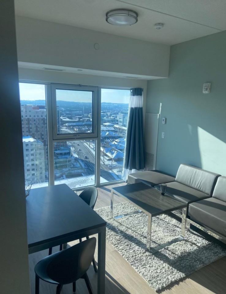 203 Albert Street, Waterloo, ON N2L 3T4 - 1 Bedroom Apartment for Rent ...