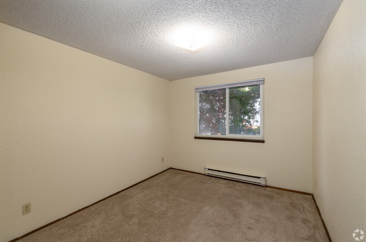 Badger Apartments is now Leasing! - 4240 8th Ave Ne Seattle WA | Zumper