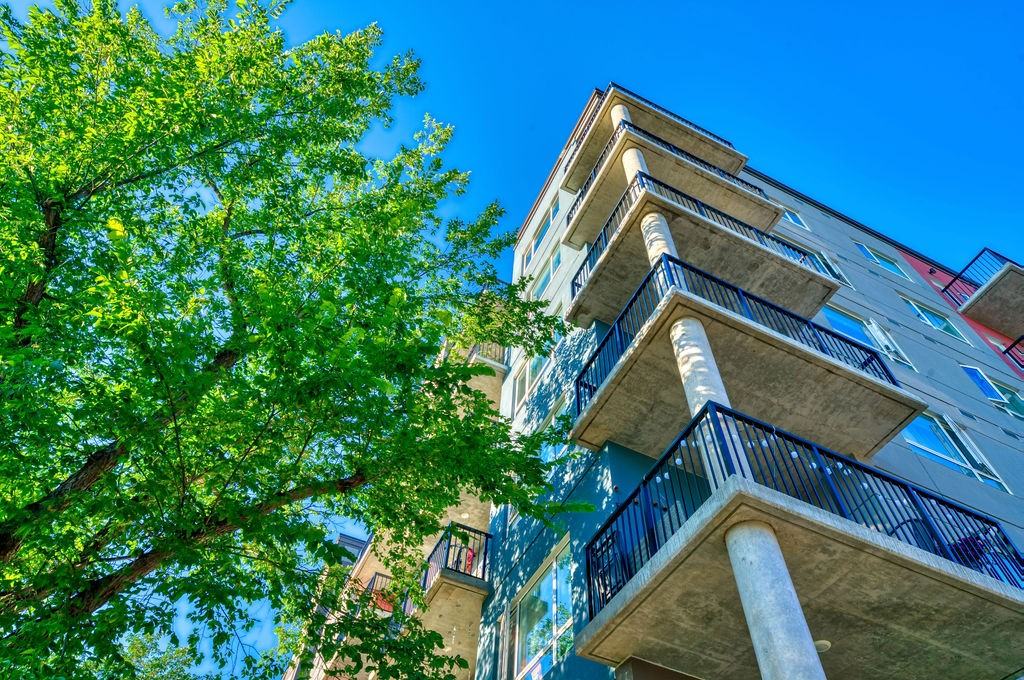 District 121 Apartments - 10512 - 10512 121 St Nw, Edmonton, AB T5N 1S2 ...