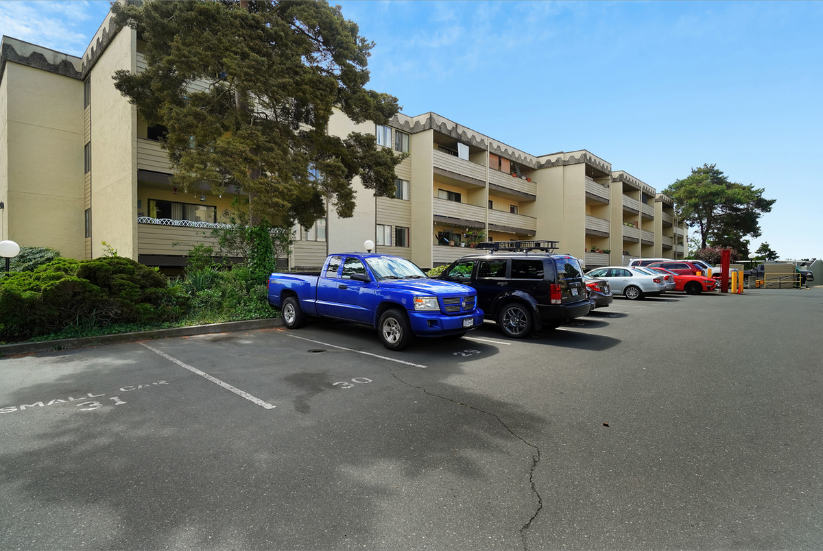 252 Gorge Rd E Apartments in Burnside, Victoria, BC V9A 6W3 - Zumper