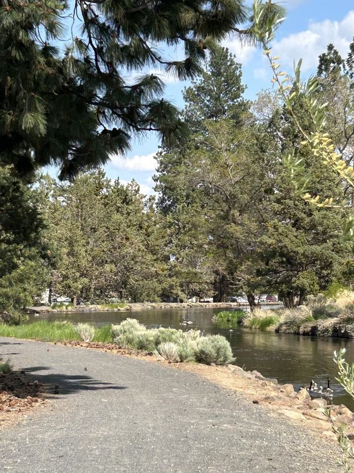 633 REED MARKET 2 S Apartments - 633 Se Reed Market Rd Bend OR | Zumper