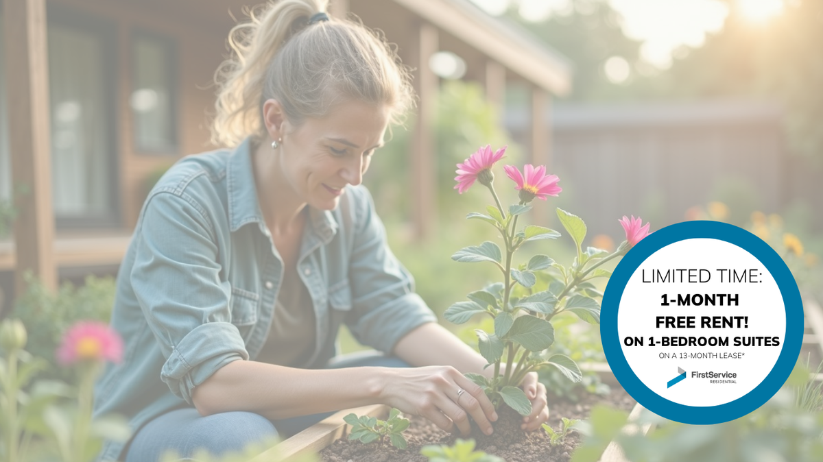 252 Gorge Rd E Apartments in Burnside, Victoria, BC V9A 6W3 - Zumper