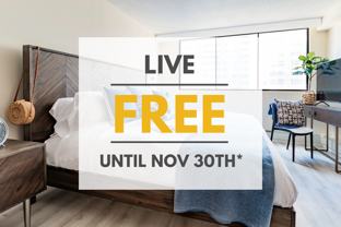 Apartments for Rent in Calgary, AB - 1,169 Condos & Other Rentals | Zumper