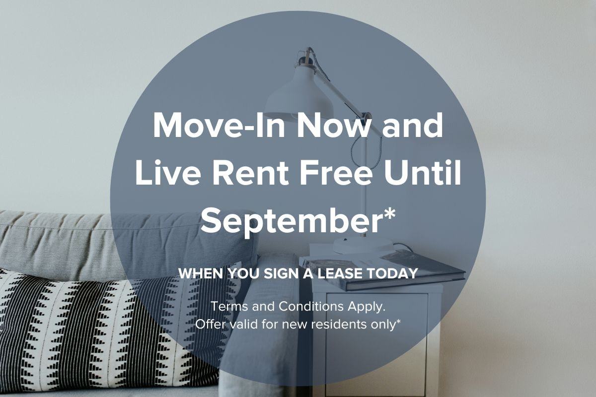 Hub Place Apartments - 1649 Broadway E Vancouver BC | Zumper